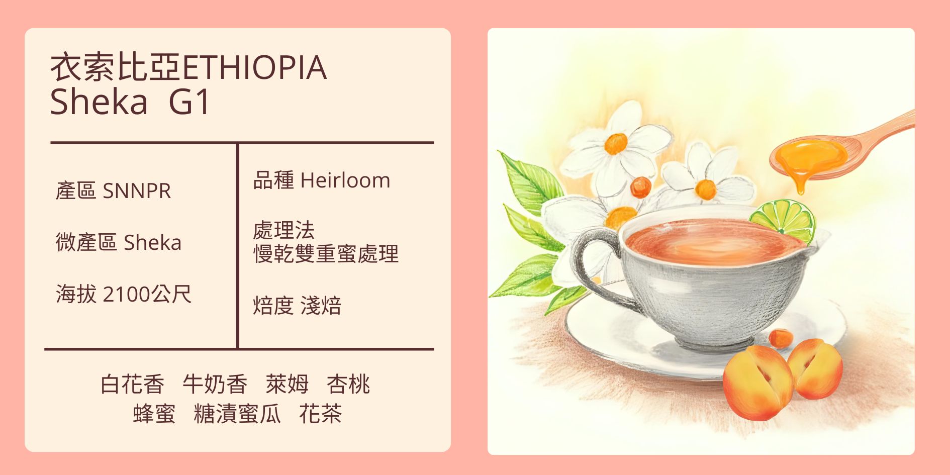 ETHIOPIA/ SNNPR Sheka Heirloom 原生種G1 慢乾雙重蜜處理 淺焙 – 道南館自家烘焙－單品咖啡熟豆、濾泡掛耳包 ...